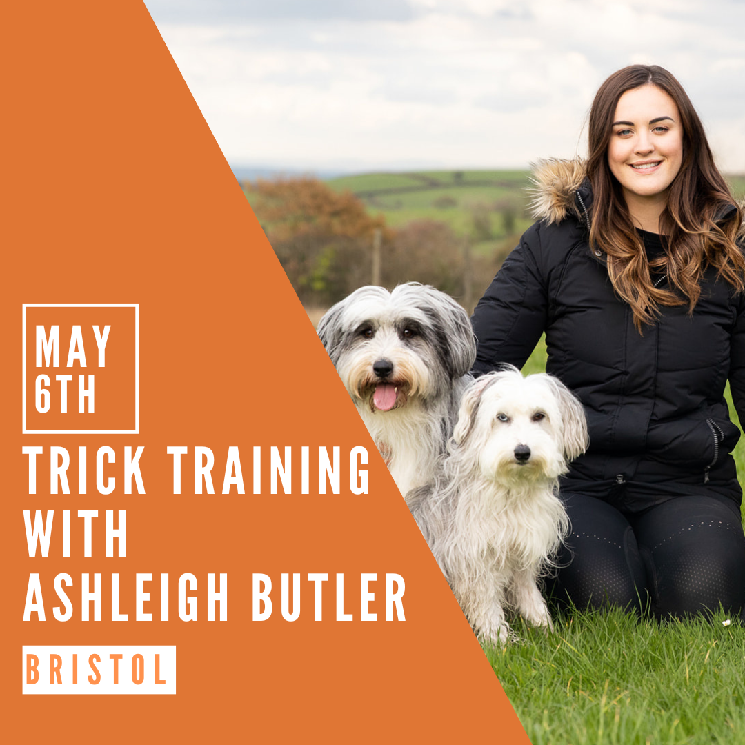 Trick Training with Ashleigh Butler - HoundPlus